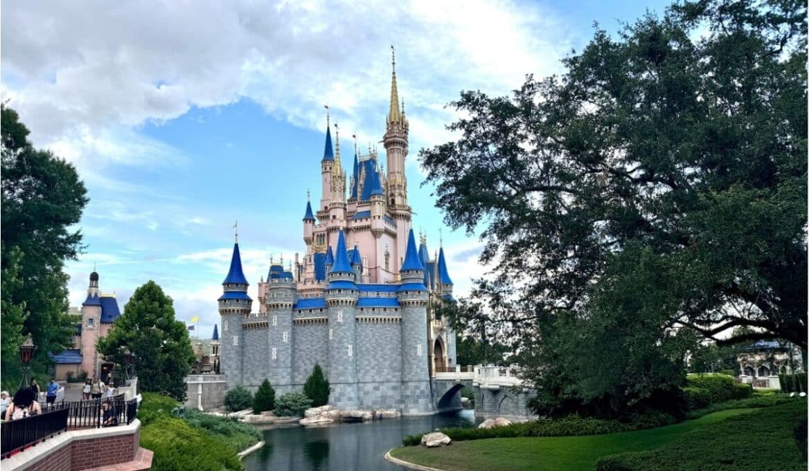 8 Things Disney Experts Refuse To Spend Money On - Eat Sleep Disney