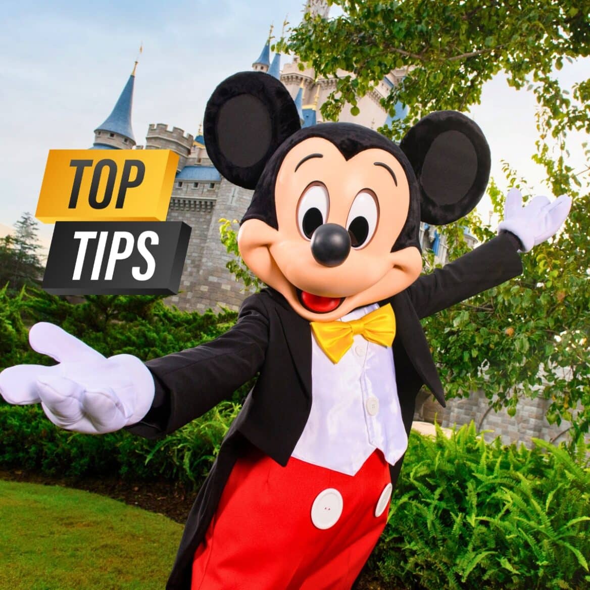 Disney Travel Tips