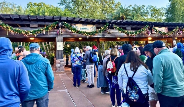 I Visited Disney World at the Busiest Time of Year: Here’s What to ...