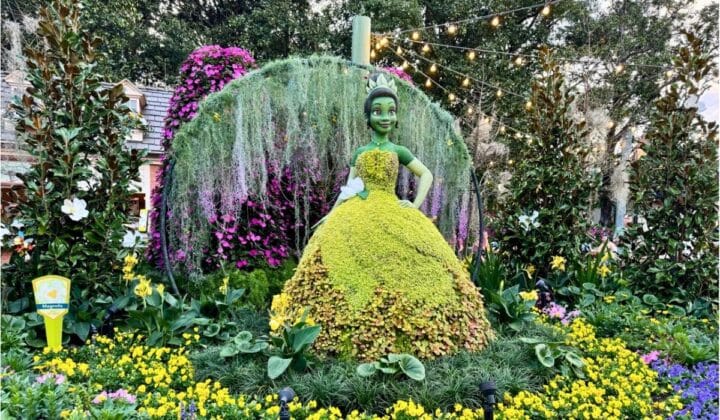 Disney World in March [2026]: Crowds, Closures, Discounts, and More ...