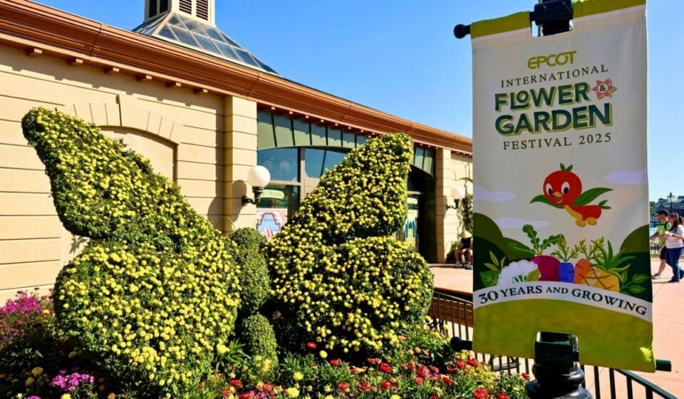 A Complete List of All EPCOT Festivals in 2026 - Eat Sleep Disney