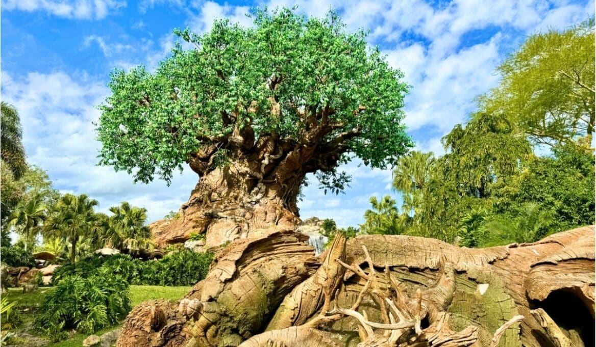 Animal Kingdom Rope Drop Strategies Disney Insiders Don’t Want You To ...