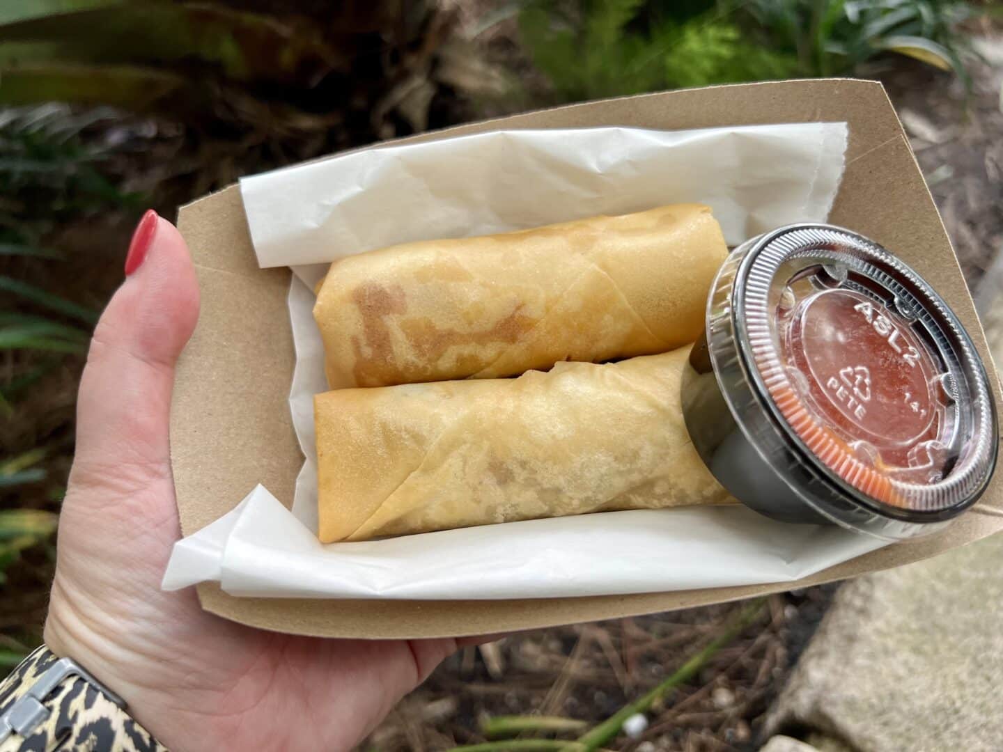 Is a Disney Quick Service Dining Plan Right for You? (2026) - Eat Sleep ...