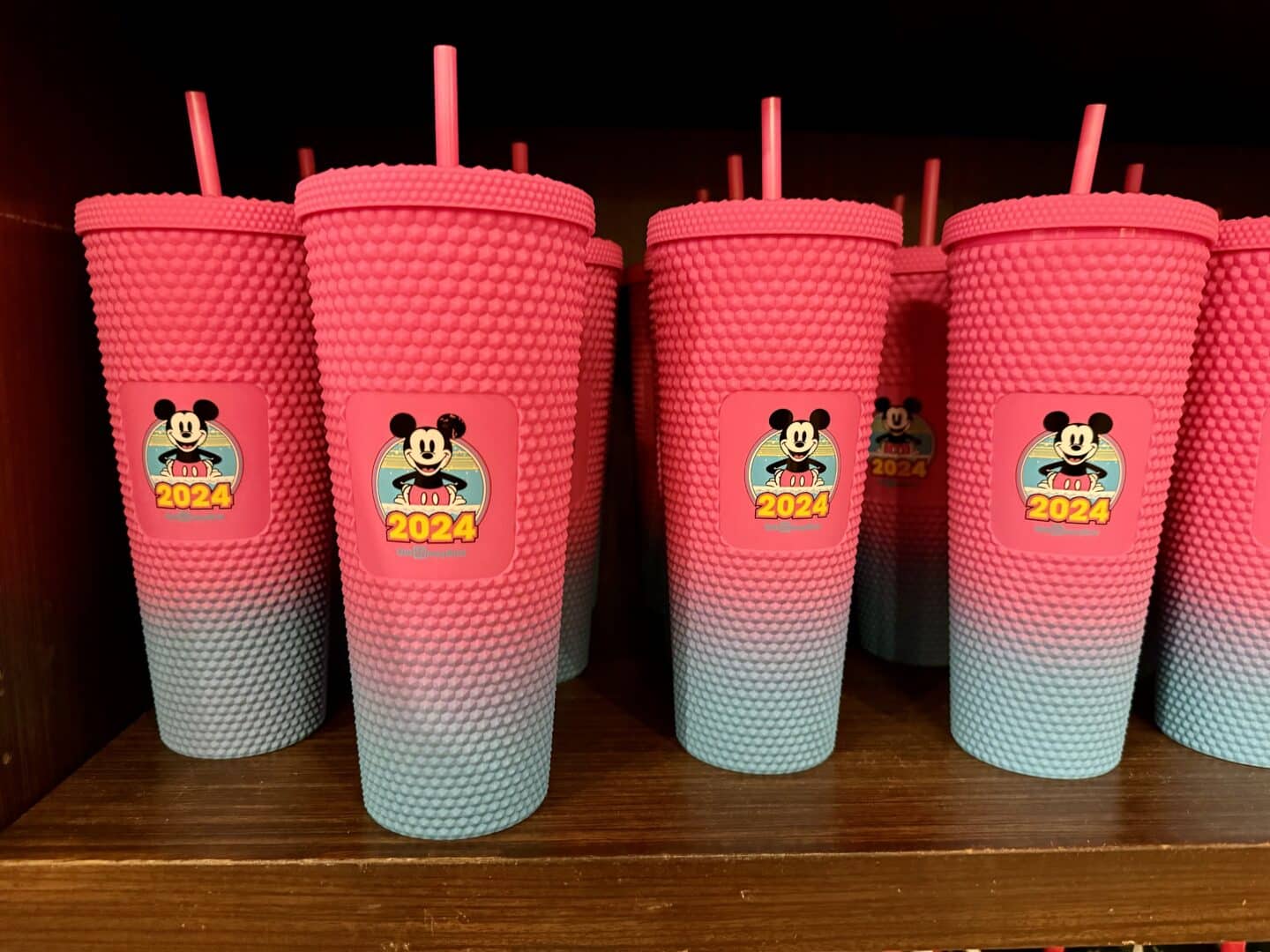 Stop Overpacking! Here’s What Disney Experts Actually Bring to the ...