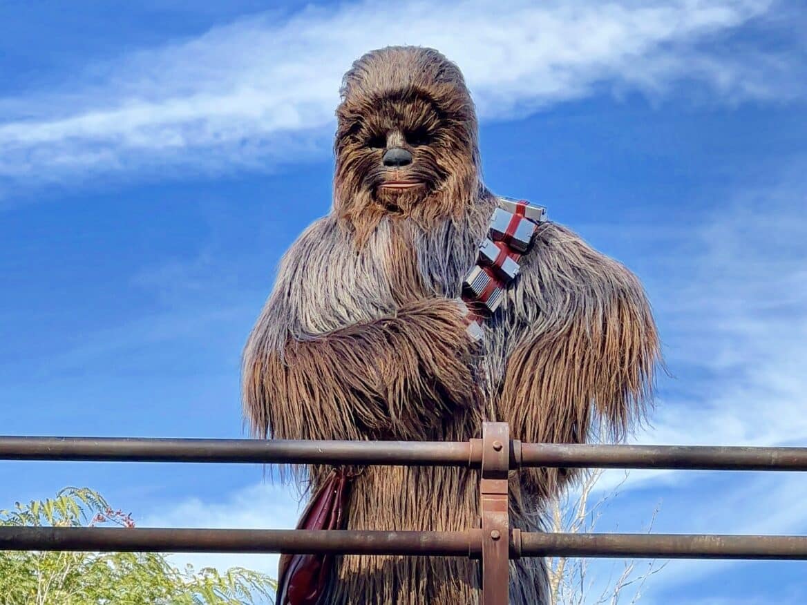 Character Meet And Greets At Disney World Everything You Need To Know