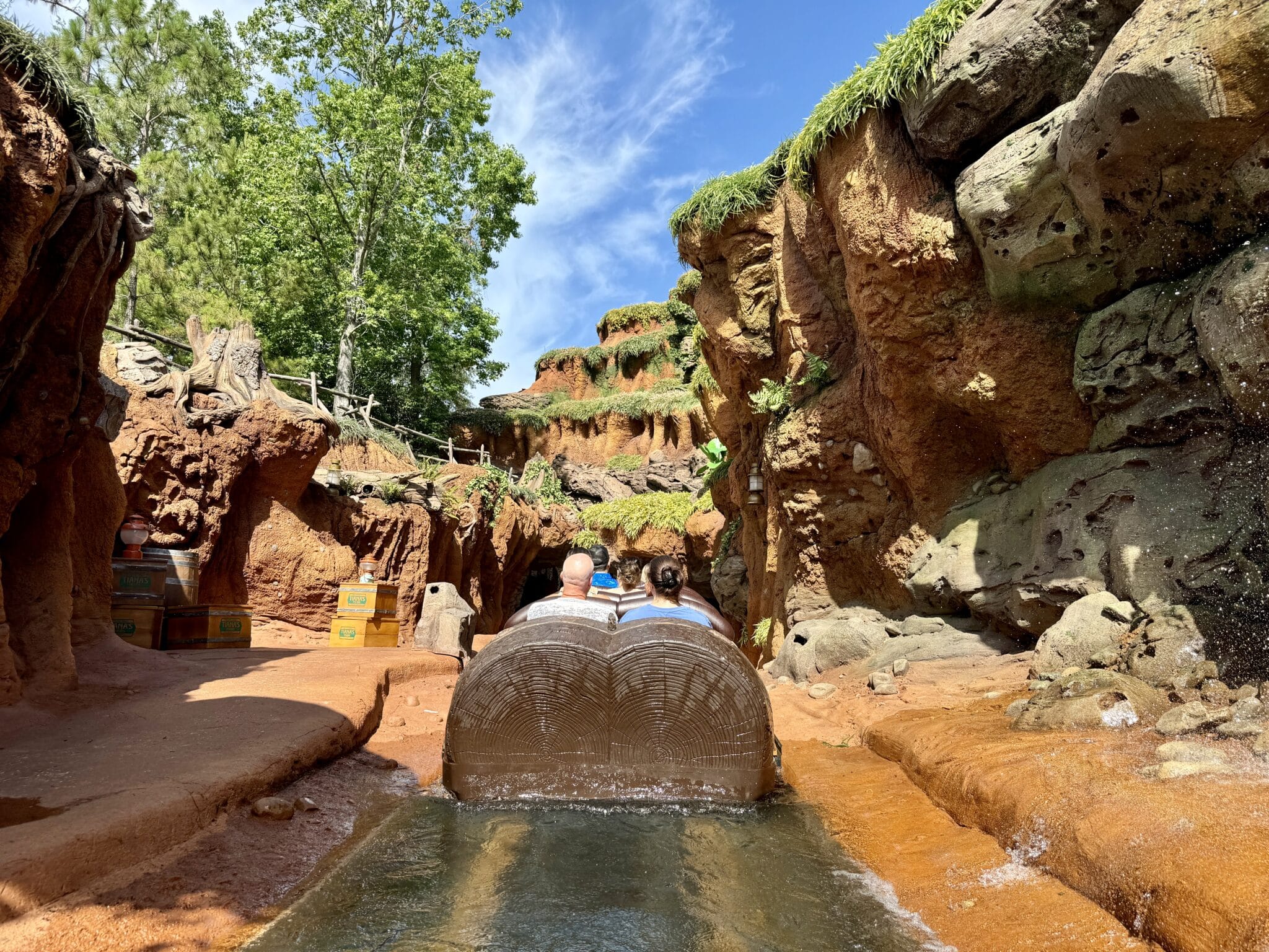 Our Foolproof Guide To The Disney Virtual Queue System - Eat Sleep Disney