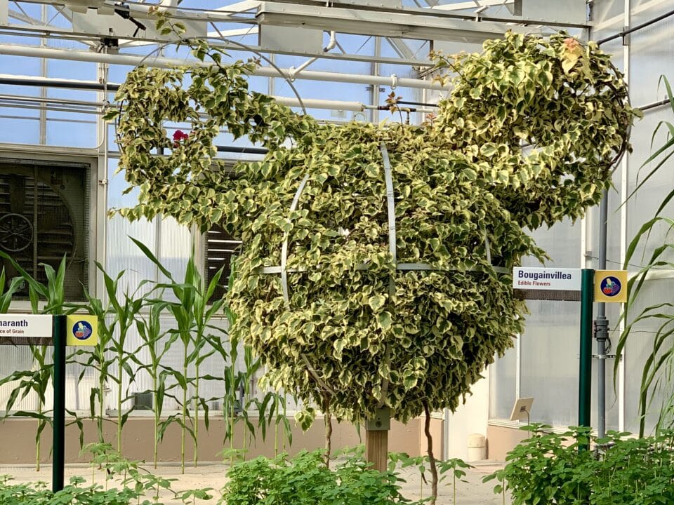 Where To Find The Shortest Wait Times For Rides At Disney World - Eat ...