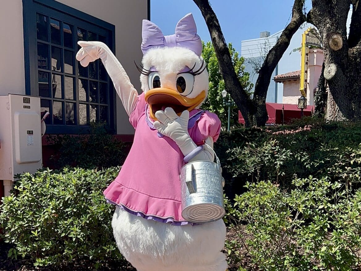 Character Meet and Greets at Disney World: Everything You Need To Know ...