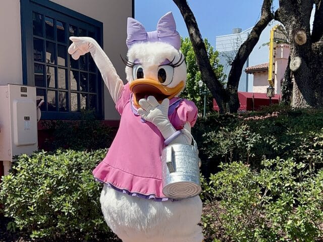 Character Meet and Greets at Disney World: Everything You Need To Know ...