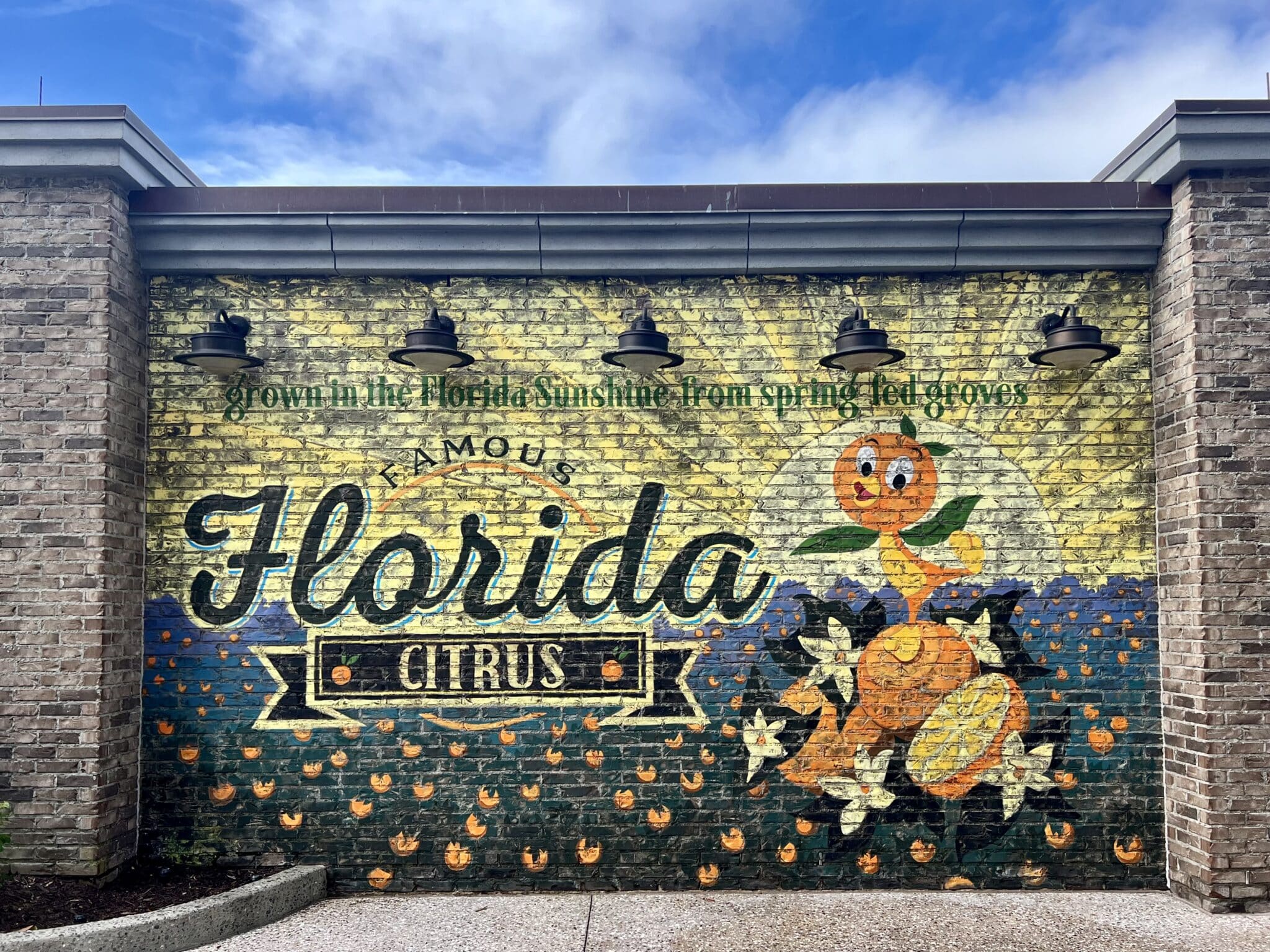 25 Free Things To Do In Disney World - Eat Sleep Disney