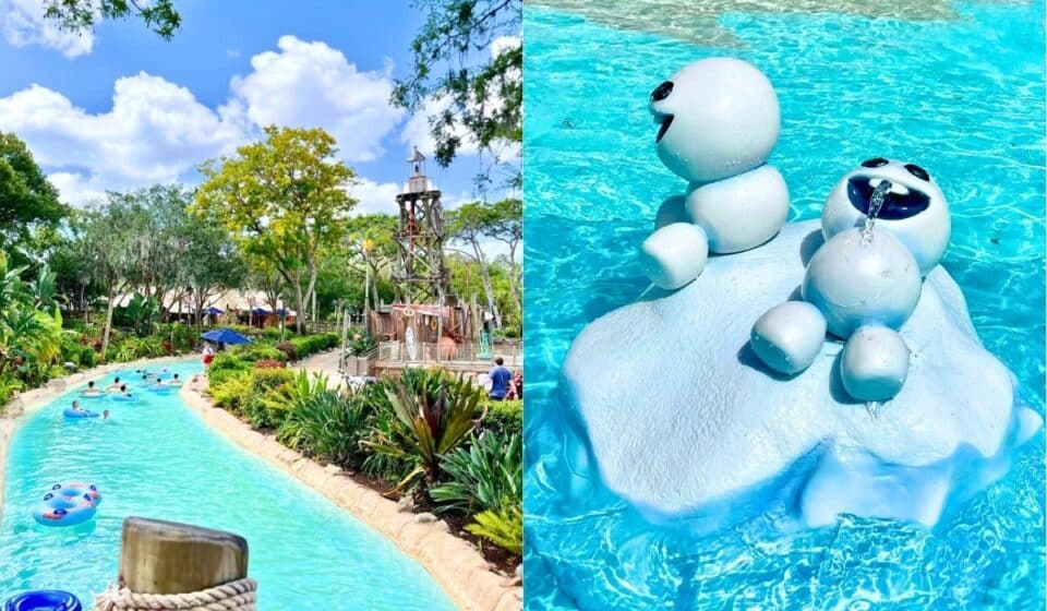 Everything You Need to Know About Disney Water Parks in 2026 - Eat ...