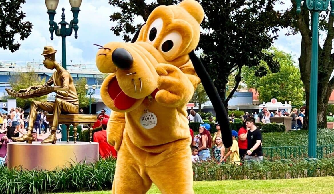 8 Things Pros Never Do in Disney World - Eat Sleep Disney